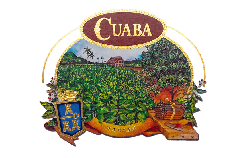 Cuaba Cigars in Vancouver – City Cigar Emporium