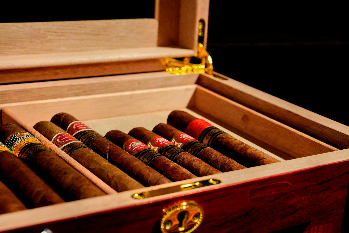 Anton Maple Wood Pipes – City Cigar Emporium